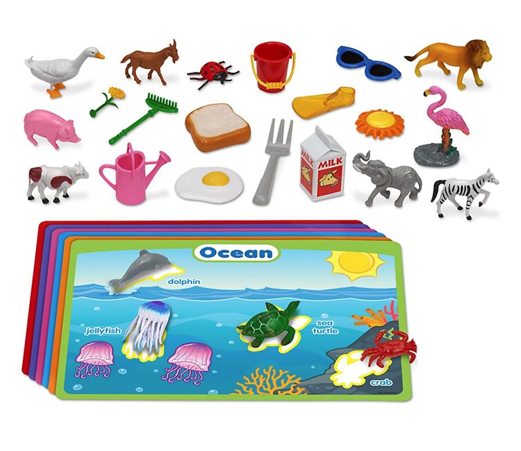 CATEGORY SORTING ACTIVITY BOX – Clever Toys