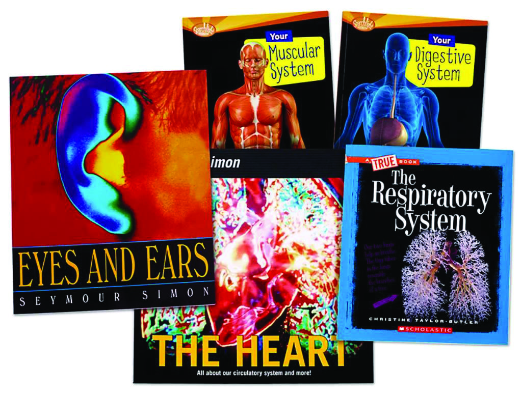 HUMAN BODY BOOK LIBRARY – Clever Toys