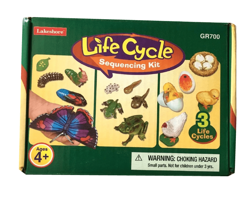 LIFE CYCLE SEQUENCING KIT – Clever Toys