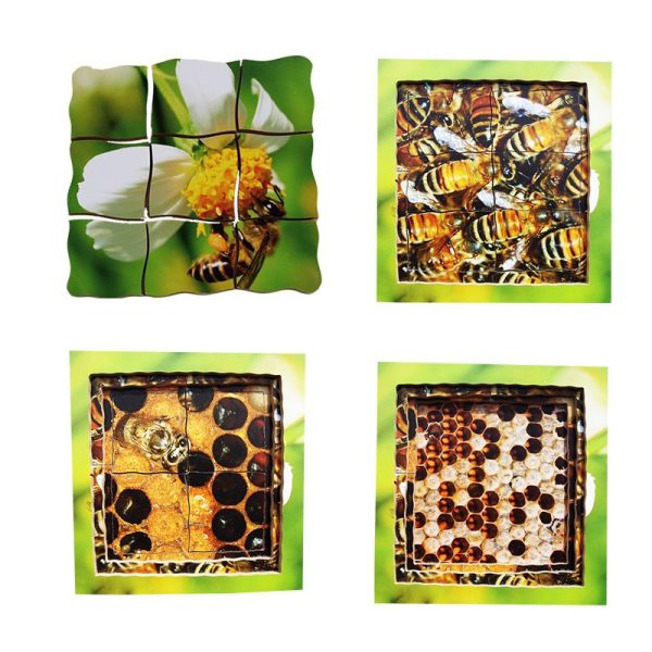 TRAY PUZZLES – LIFE CYCLES BEE – Clever Toys