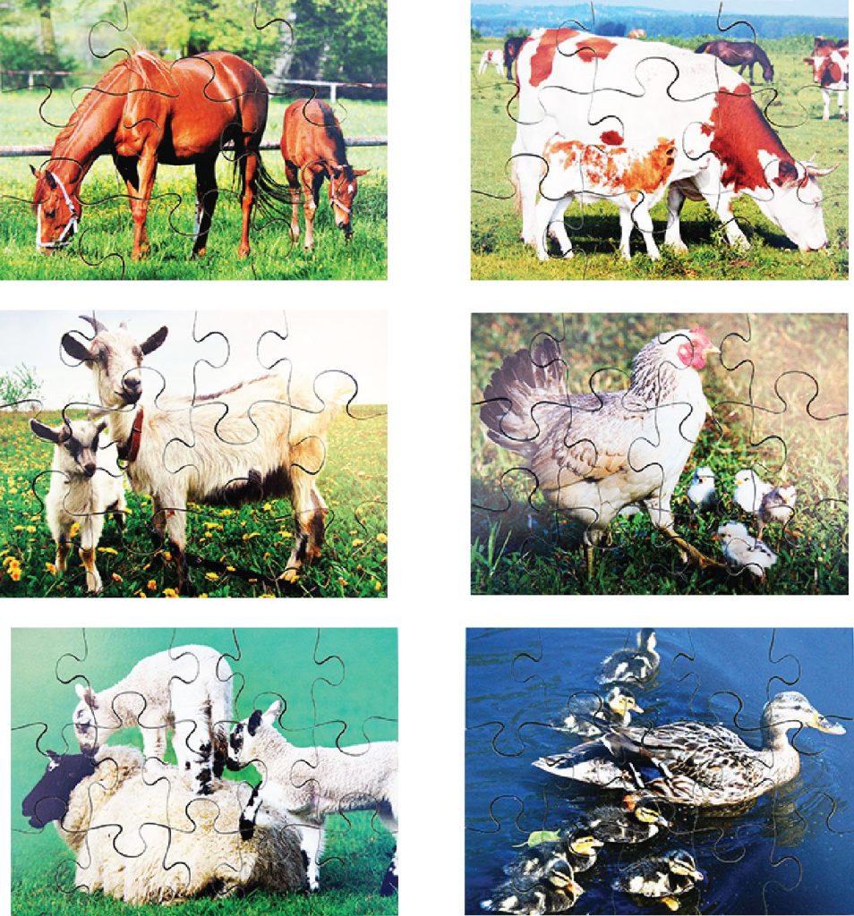 INTERLOCKING PUZZLE – FARM ANIMALS AND THEIR YOUNG – Clever Toys