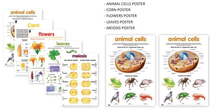 NATURAL SCIENCE POSTER PACK – SET OF 5 (SET 2) – Clever Toys