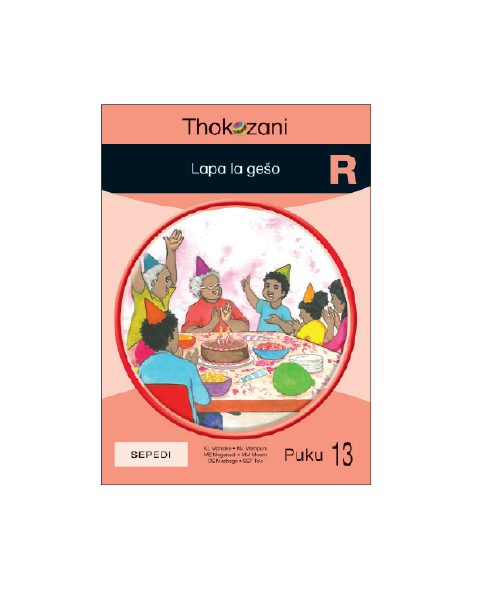 GRADE R READERS SET 2 – Clever Toys