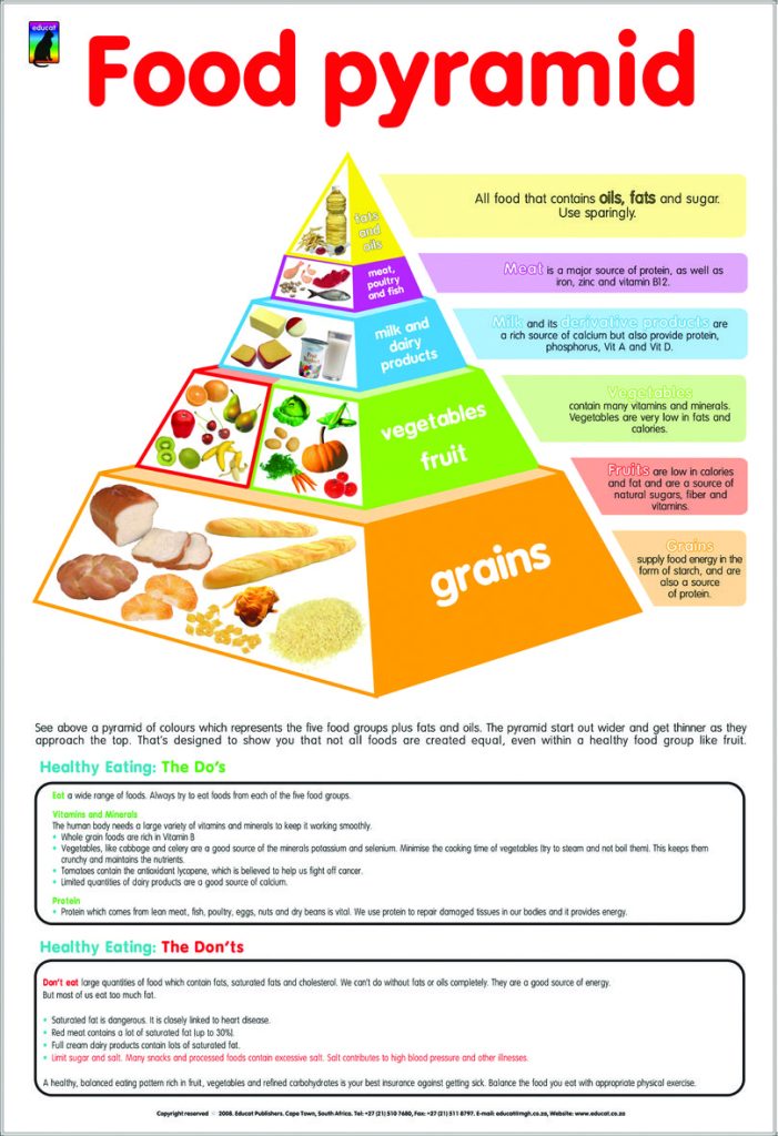 FOOD PYRAMID CHART – Clever Toys